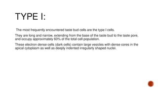 Oral Physiology - The Pathway of Taste.pptx