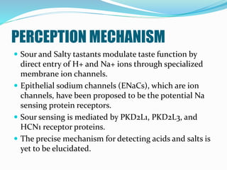 Taste sour and salty | PPTX