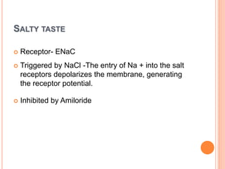 Taste Physiology | PPTX