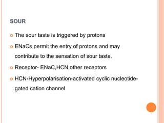 Taste Physiology | PPTX