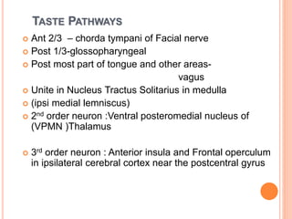 Taste Physiology | PPTX