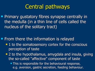 Taste and smell | PPT