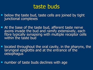 Taste and smell | PPT
