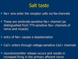 Taste and smell | PPT