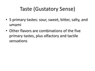 Taste and smell | PPTX