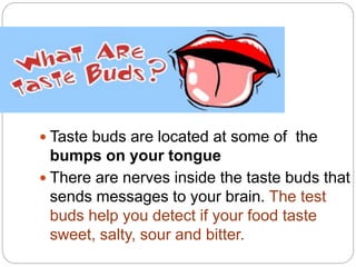 Taste and smell | PPTX