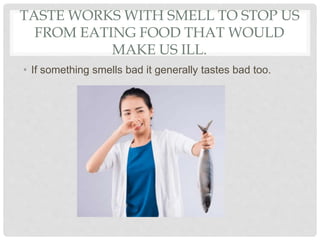 Taste and smell | PPTX