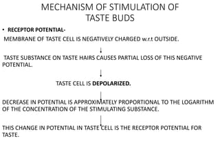 Taste and smell | PPTX