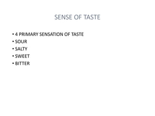 Taste and smell | PPTX