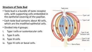 TASTE & SMELL | PPSX | Brain and Nervous System Disorders | Diseases ...