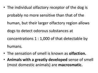 Taste and Smell.pptx