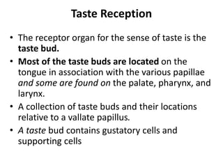 Taste and Smell.pptx