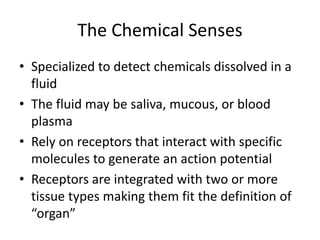 Taste and Smell2.ppt