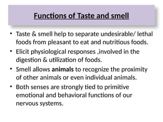 physiology lecture on the taste and smell | PPSX