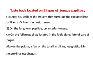 physiology lecture on the taste and smell | PPSX