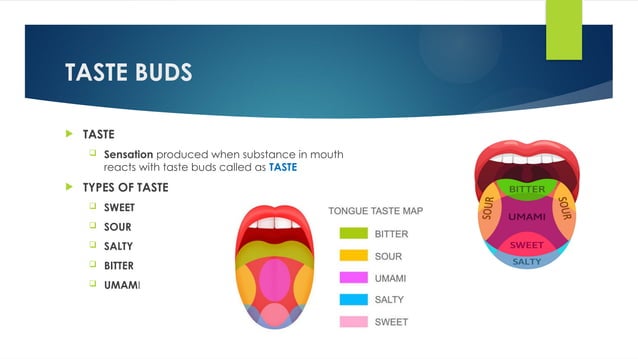 TASTE BUDS and TASTE PATHWAY in context of biochem | PPTX