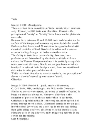 TasteImage © 2011 iStockphoto There are four basic sensatio.docx