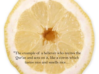 Taste like citron... 1 | PDF