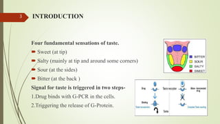 Taste masking techniques | PPTX