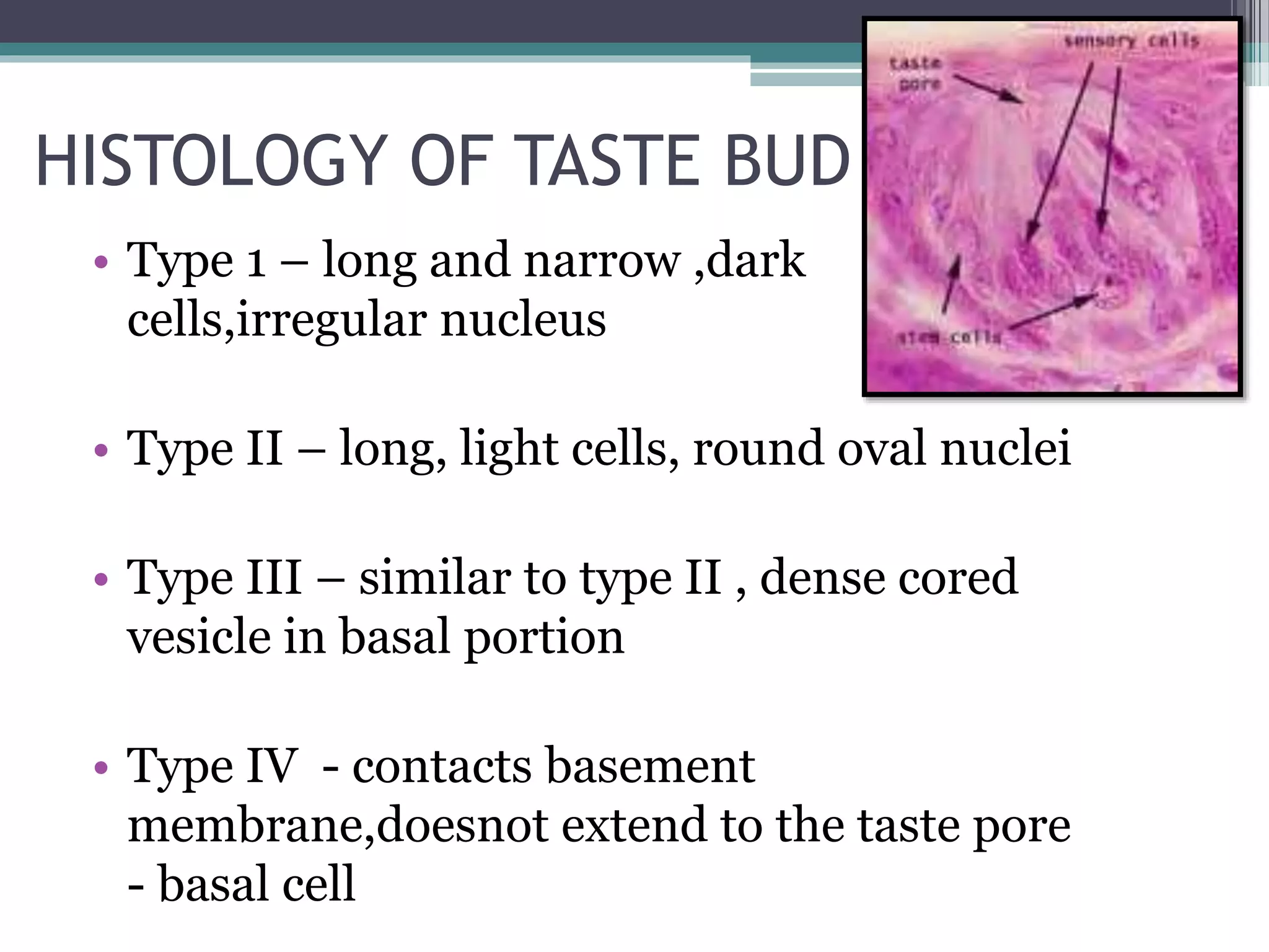 Taste pathway | PPTX