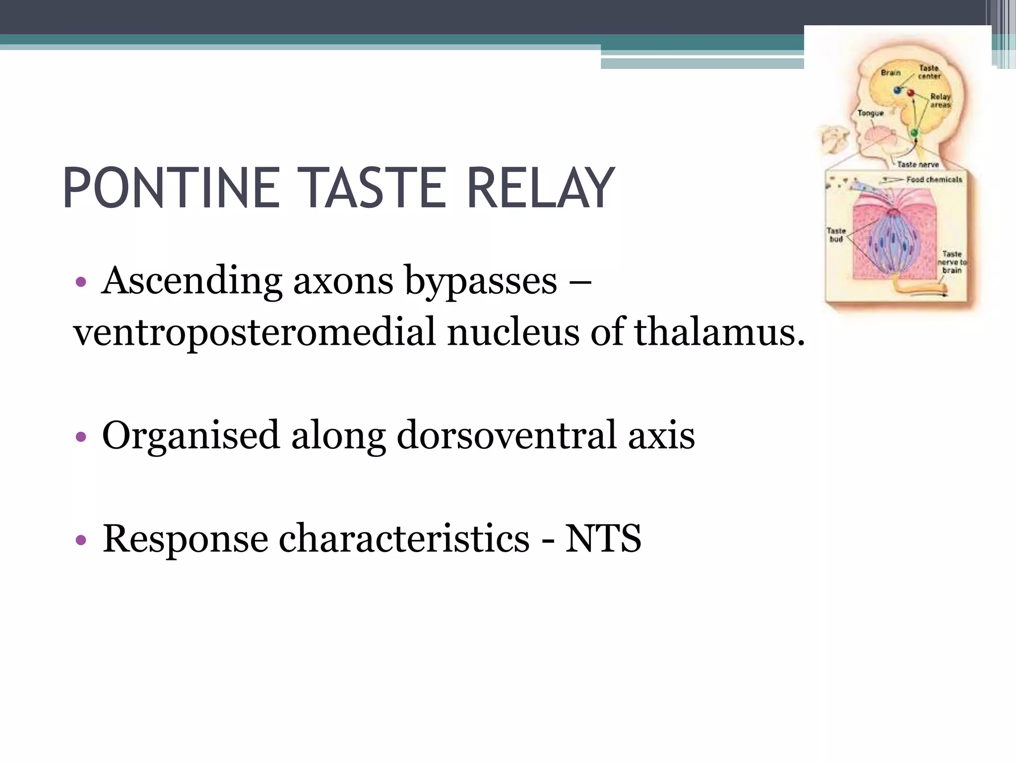 Taste pathway | PPTX