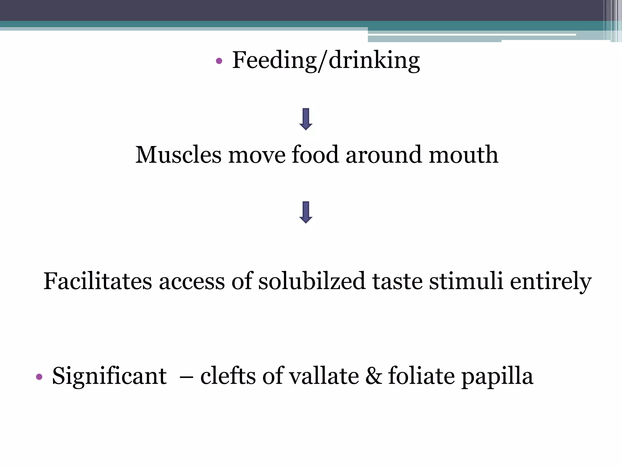 Taste pathway | PPTX