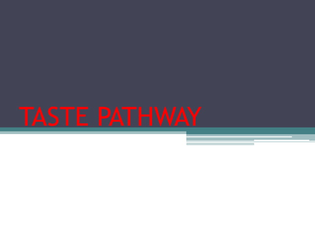 Taste pathway | PPTX