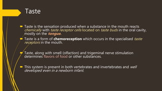 Taste physiology beba | PPT