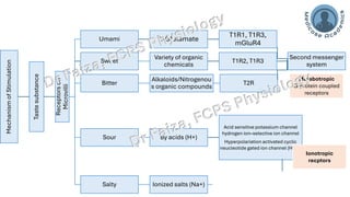 Physiology of Special Chemical Sensation of Taste | PDF