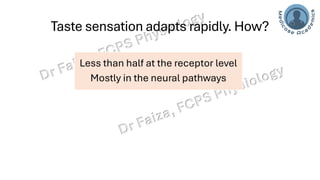 Physiology of Special Chemical Sensation of Taste | PDF