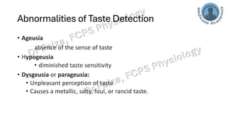 Physiology of Special Chemical Sensation of Taste | PDF