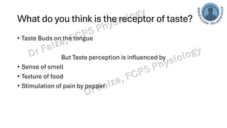 Physiology of Special Chemical Sensation of Taste | PPT