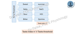Physiology of Special Chemical Sensation of Taste | PDF