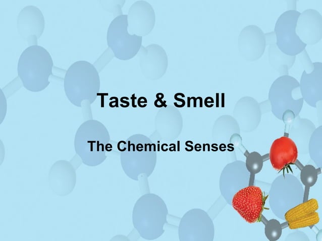 Taste & Smell: The Chemical Senses, meetforeal | PPT