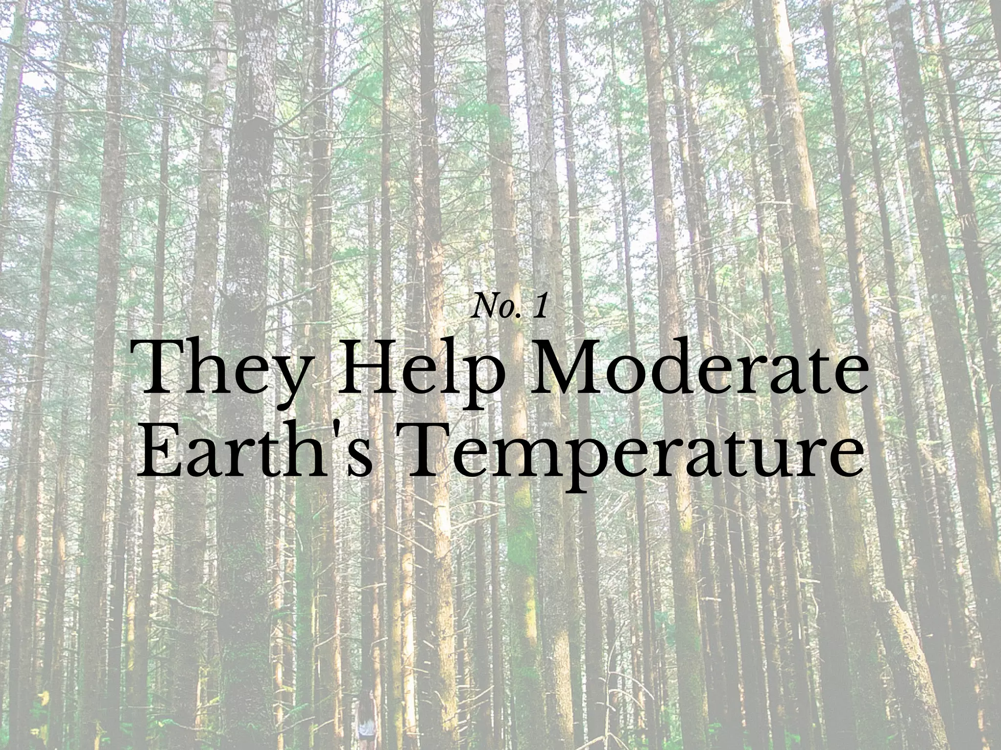 9 Reasons to Respect Forests | PPT