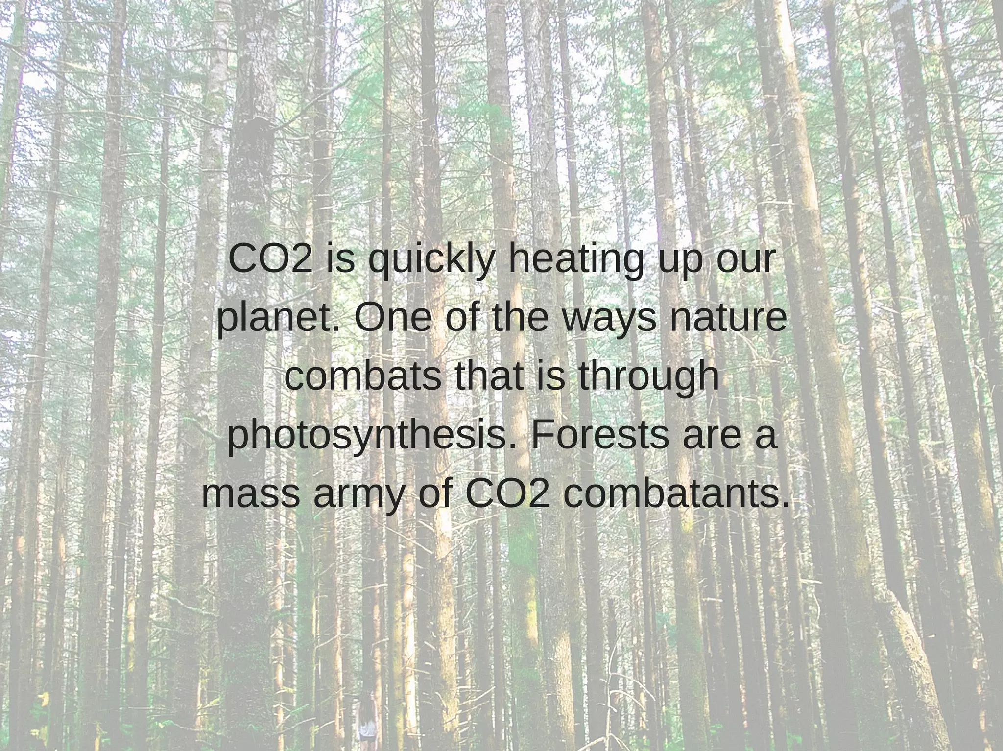 9 Reasons to Respect Forests | PPT