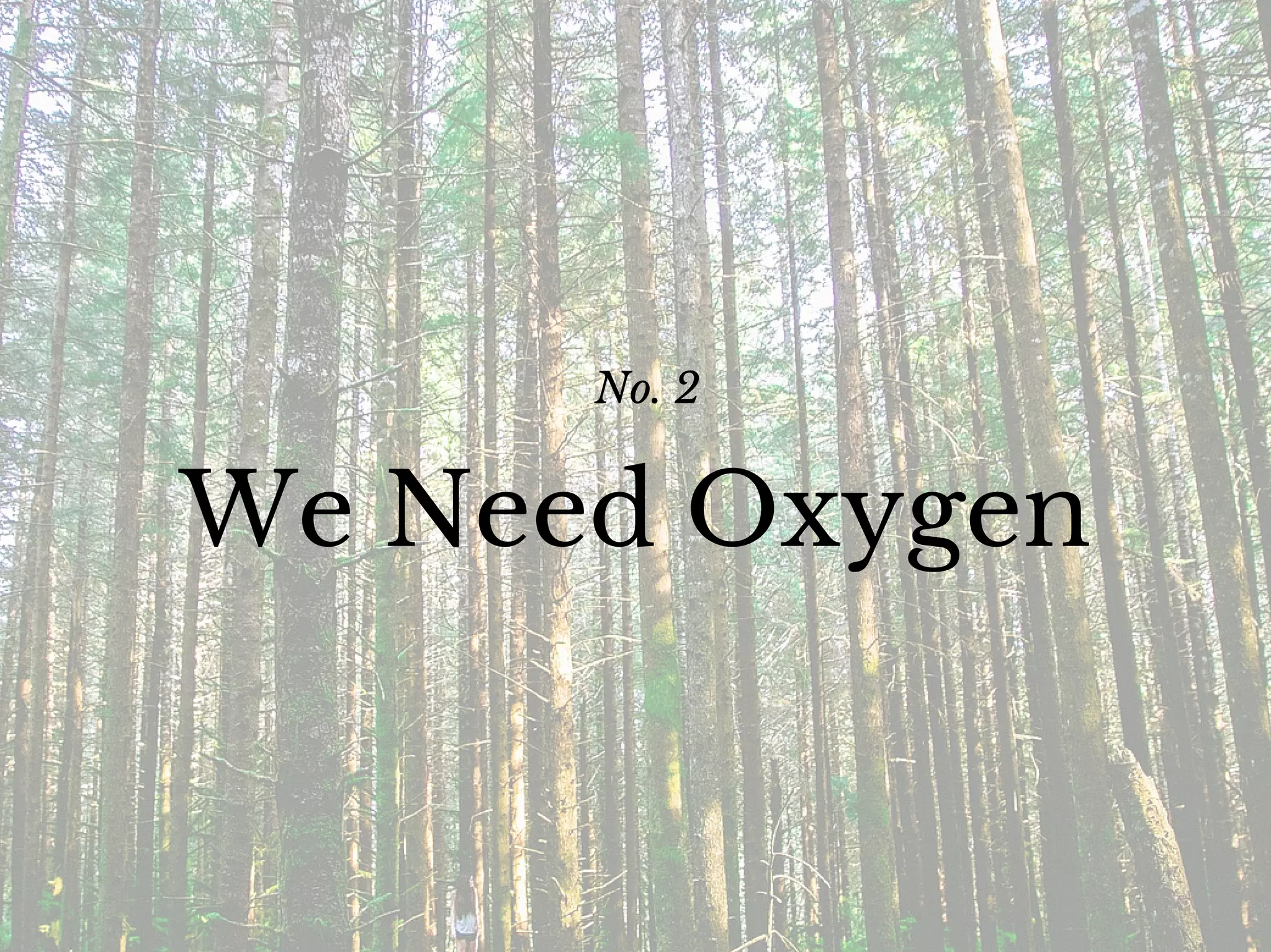 9 Reasons to Respect Forests | PPT