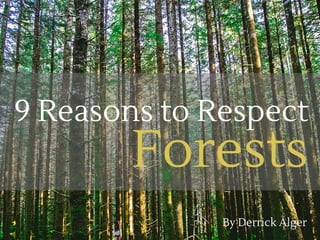 9 Reasons to Respect Forests | PDF