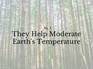 9 Reasons to Respect Forests | PPT