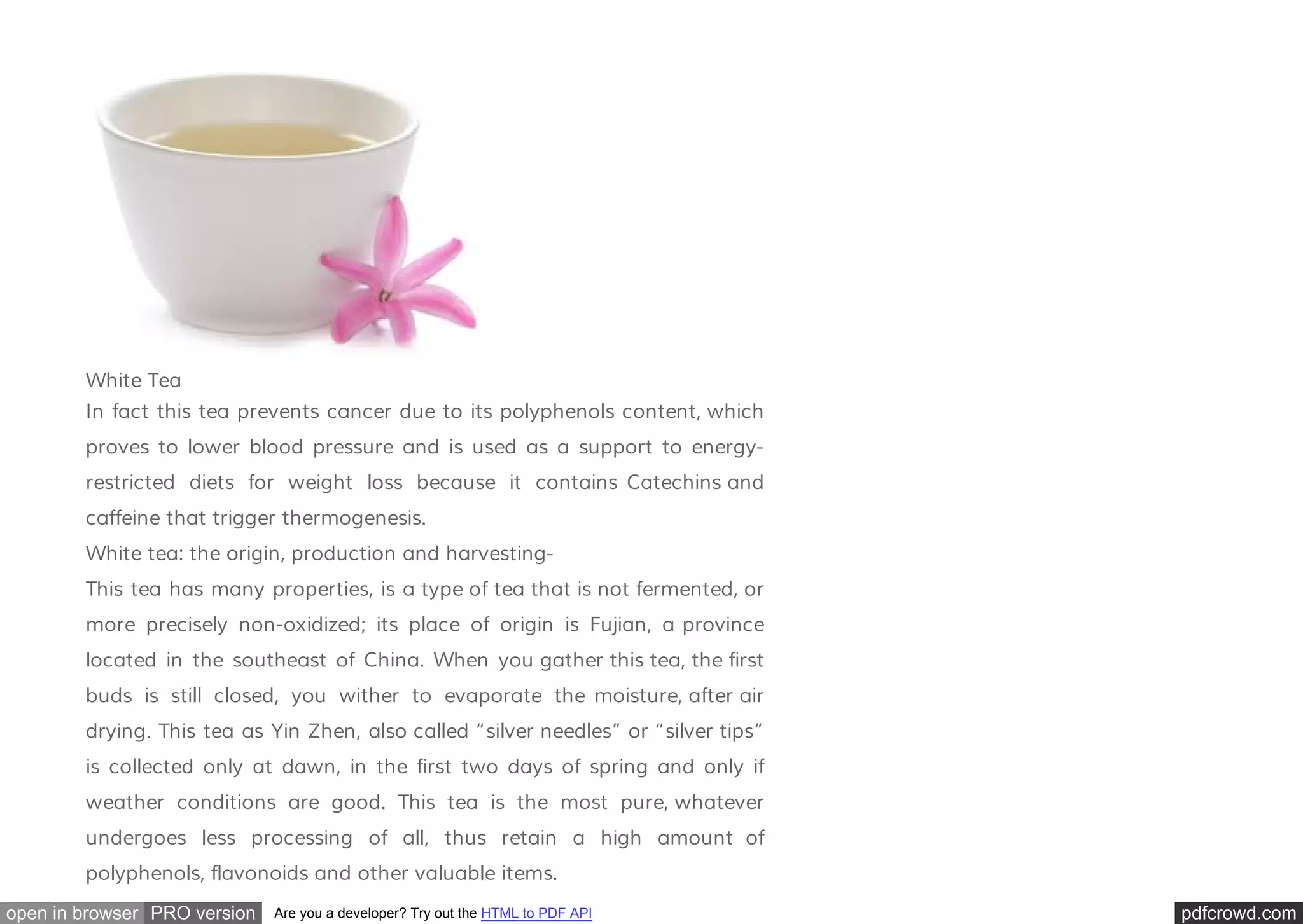 THE BENEFITS OF WHITE TEA AND HOW TO TAKE IT PROPERLY | PPT