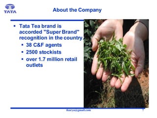 Tata Tea | PPT