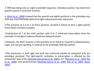 Role of Tata box in signal transduction | PPTX