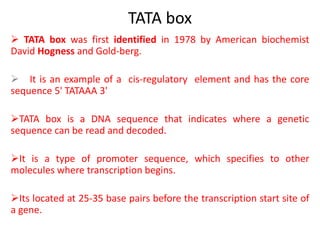 Role of Tata box in signal transduction | PPTX
