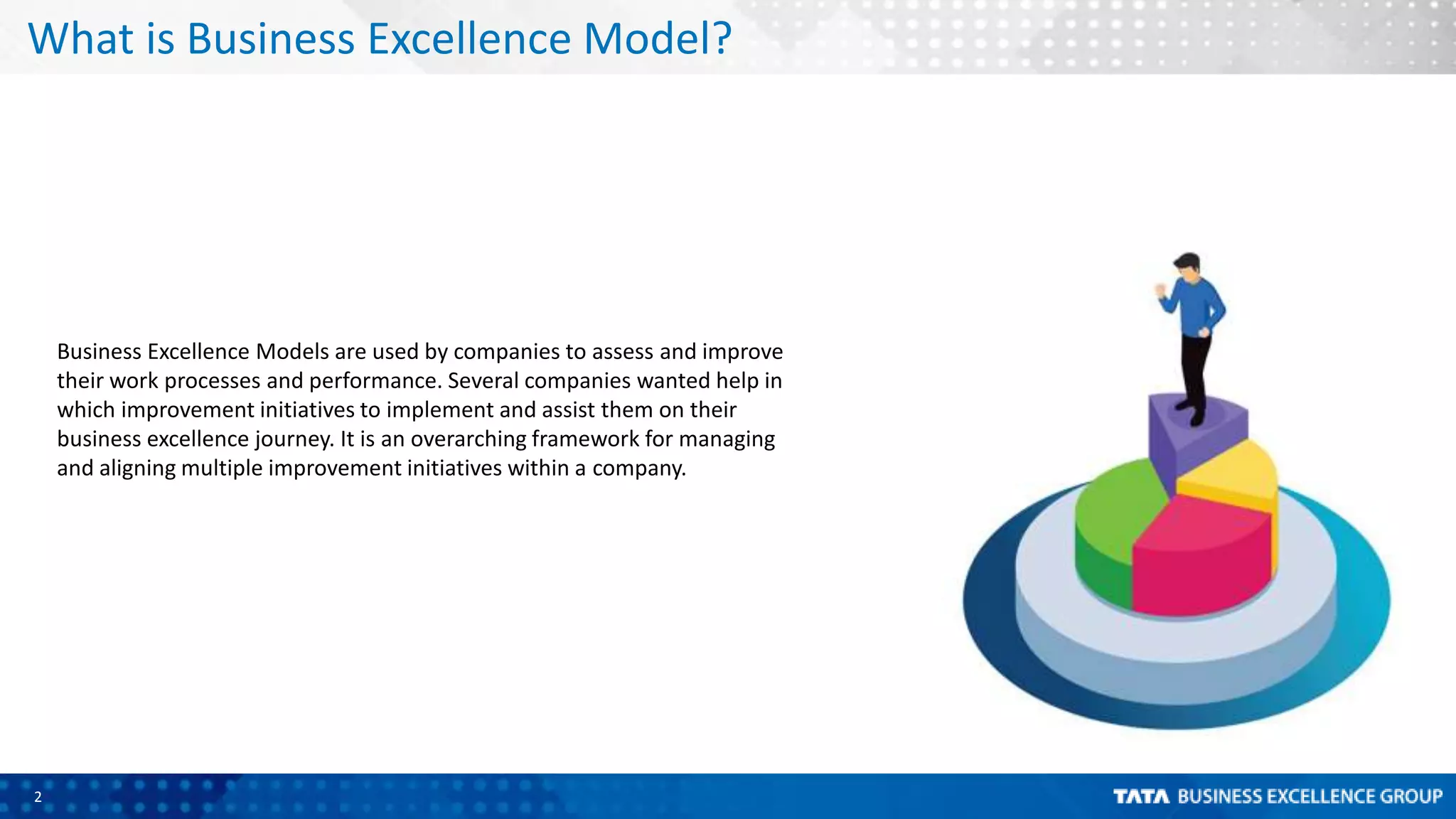 Tata Business Excellence Model | PPTX