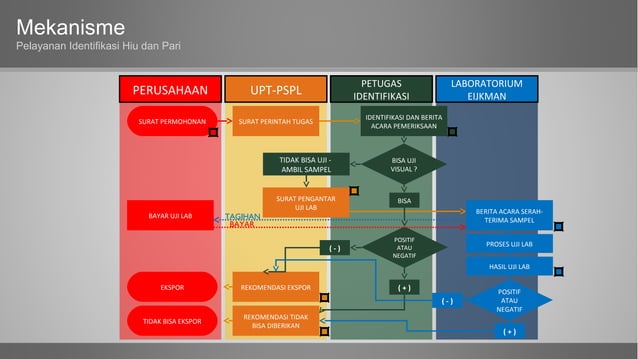 Mekanismr Identifikasi Jenis Hiu dan Pari untuk Perdagangan Ekspornya | PPT