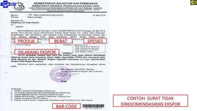 Mekanismr Identifikasi Jenis Hiu dan Pari untuk Perdagangan Ekspornya | PPT