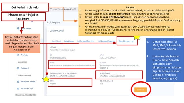 TATA CARA INPUT SKP.pdf