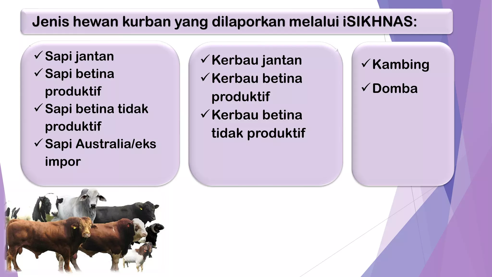 Tata Cara Pelaporan Data Pemotongan Hewan Kurban melalui iSIKHNAS Tahun ...