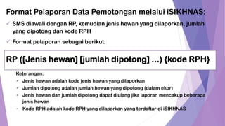 Tata Cara Pelaporan Data Pemotongan Hewan Kurban melalui iSIKHNAS Tahun ...