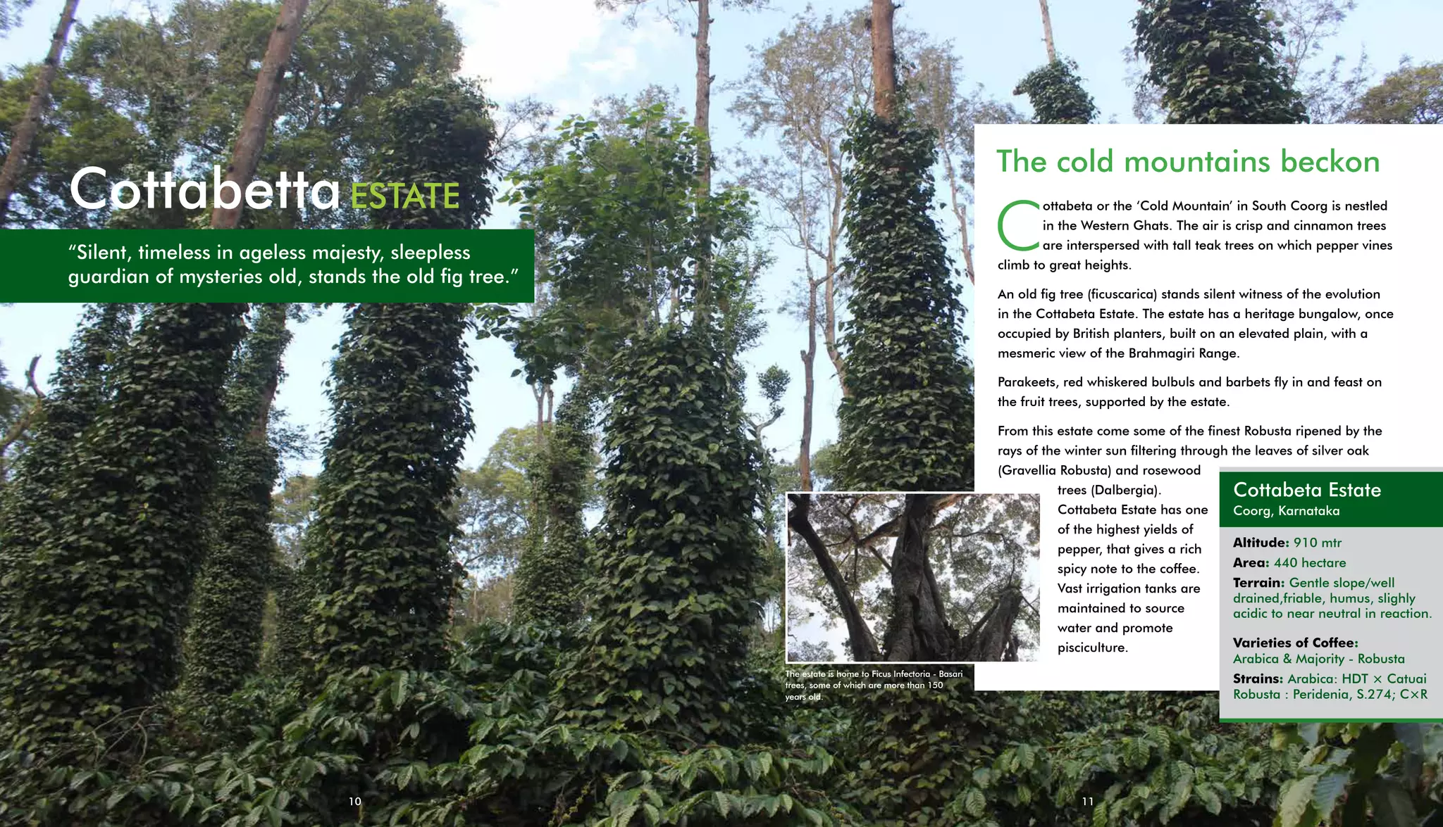 Tata coffee Farm Stories | PDF